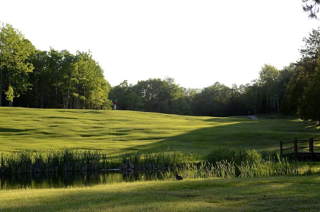 Contact Us - Westfield Golf & Country Club